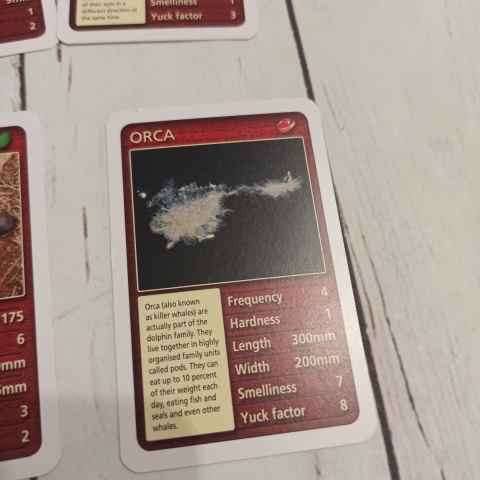 PLOP trumps Extreme > Edu Pszczółka